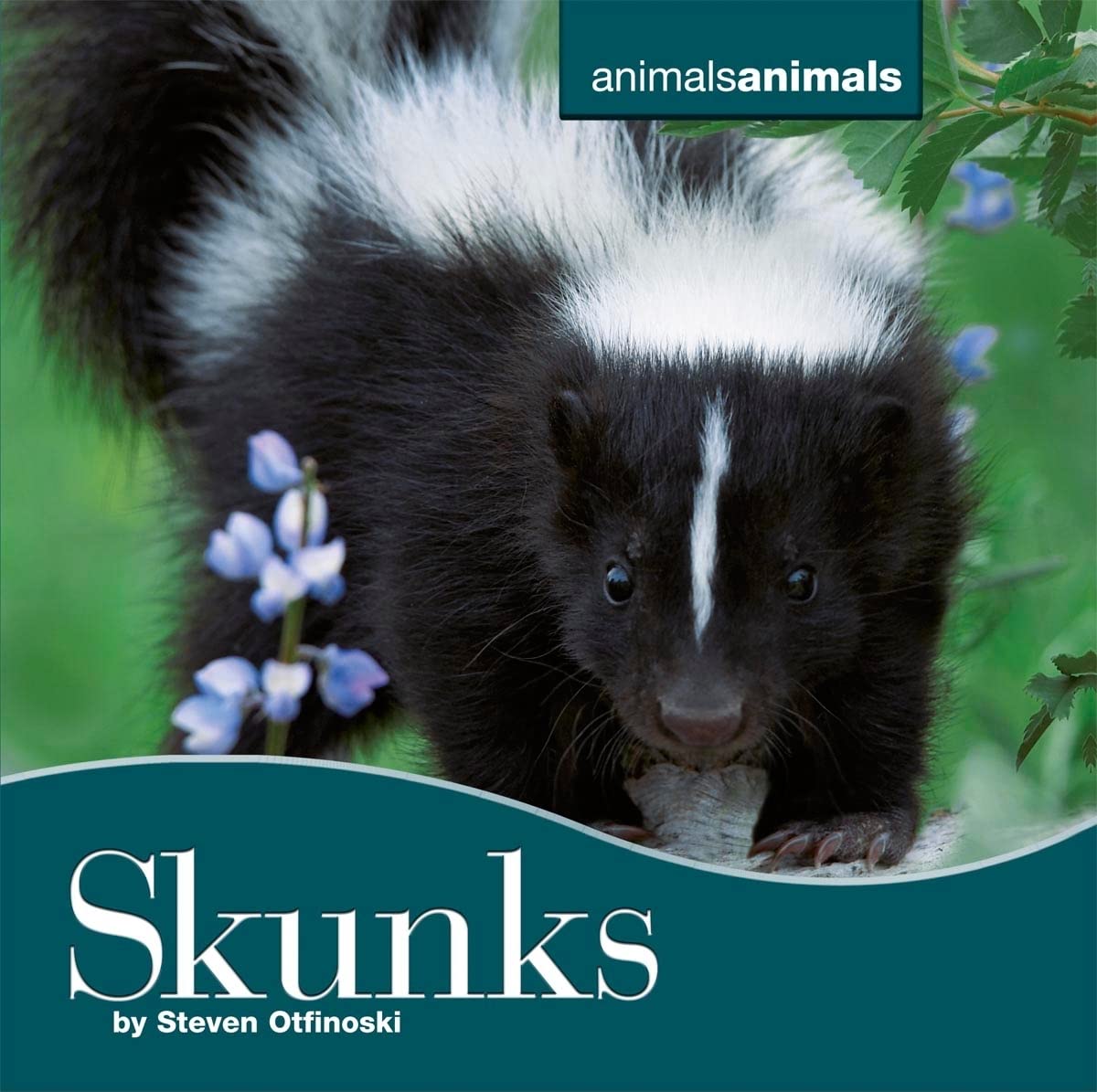 Buy Skunks: 9 (Animals Animals) Book Online at Low Prices in India ...
