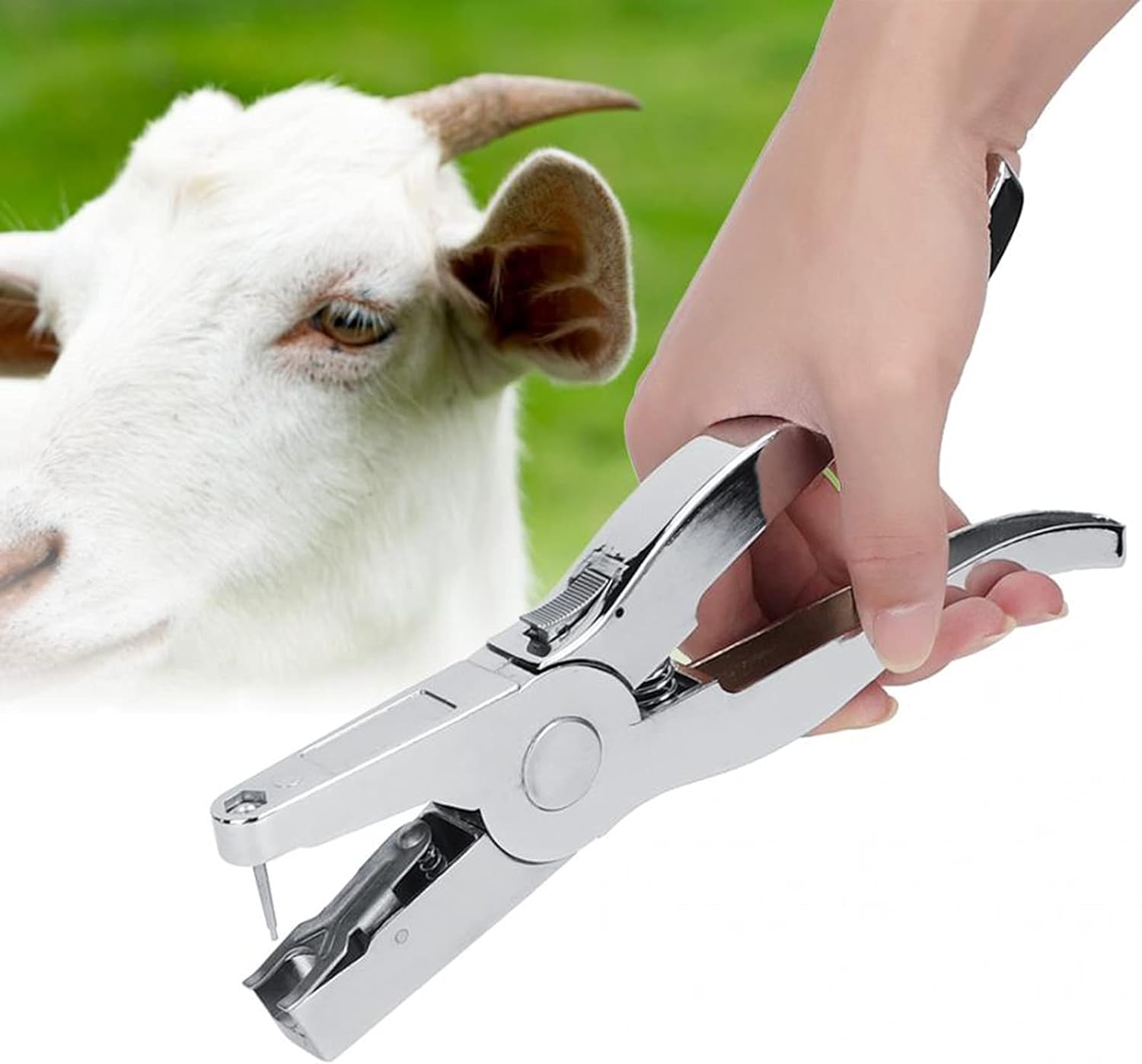 Amazon.com: Livestock Animal Ear Tagging Pliers, Ear Signage Animal Tag ...