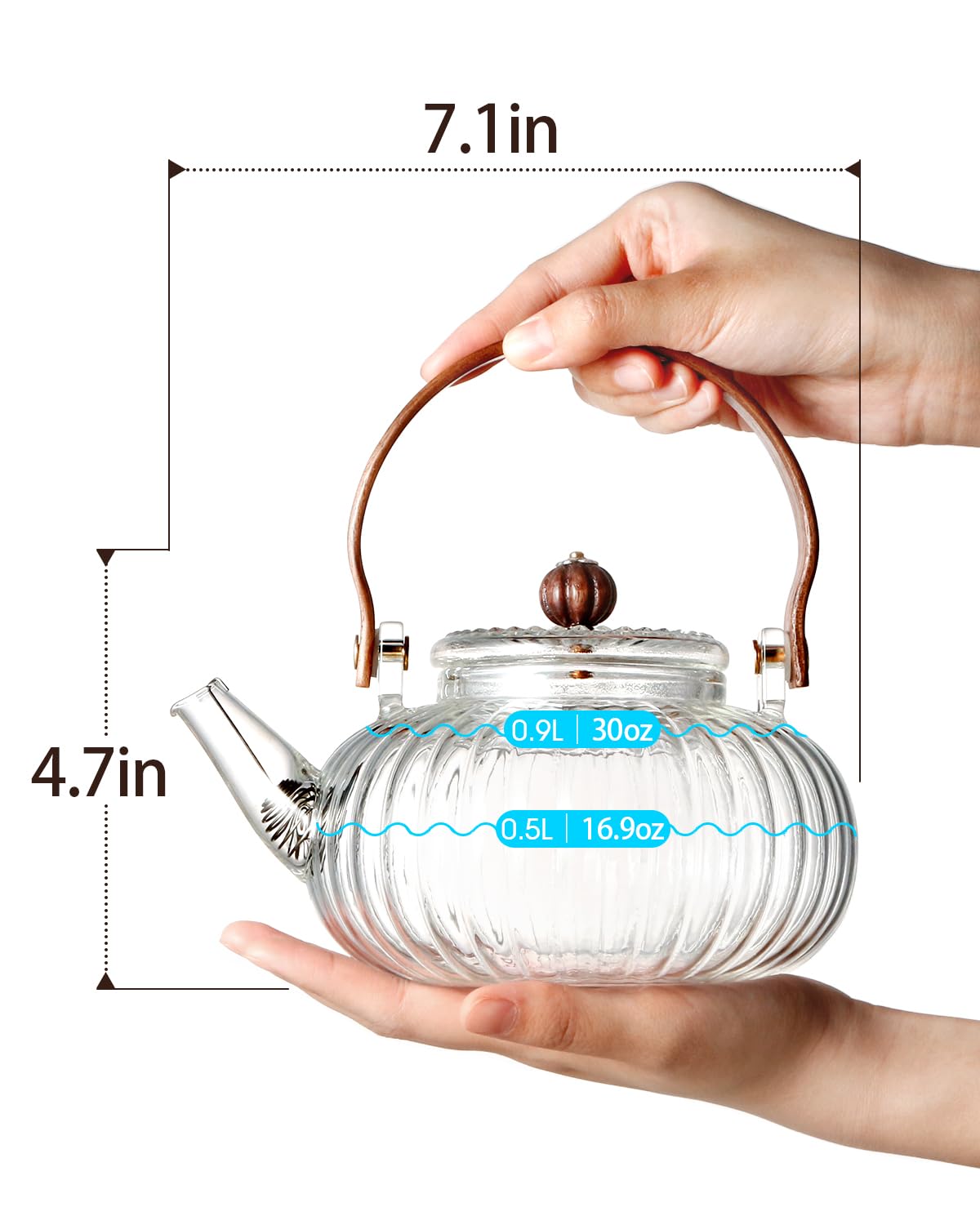 Snapklik.com : NUTIUPS 30oz Glass Teapot, Borosilicate Glass Small Tea ...
