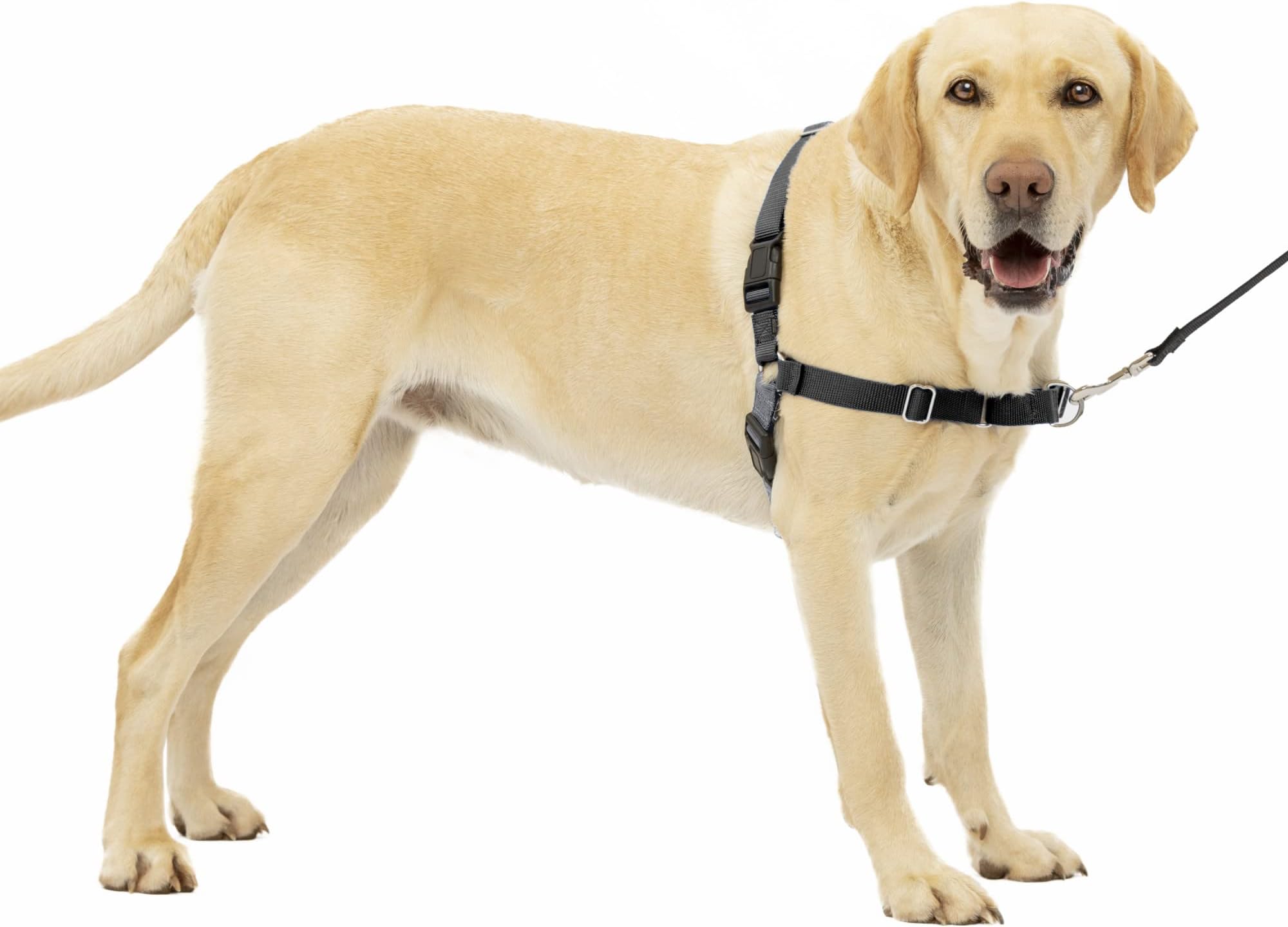PetSafe Easy Walk No-Pull Dog Harness - The Ultimate Harness to Help ...