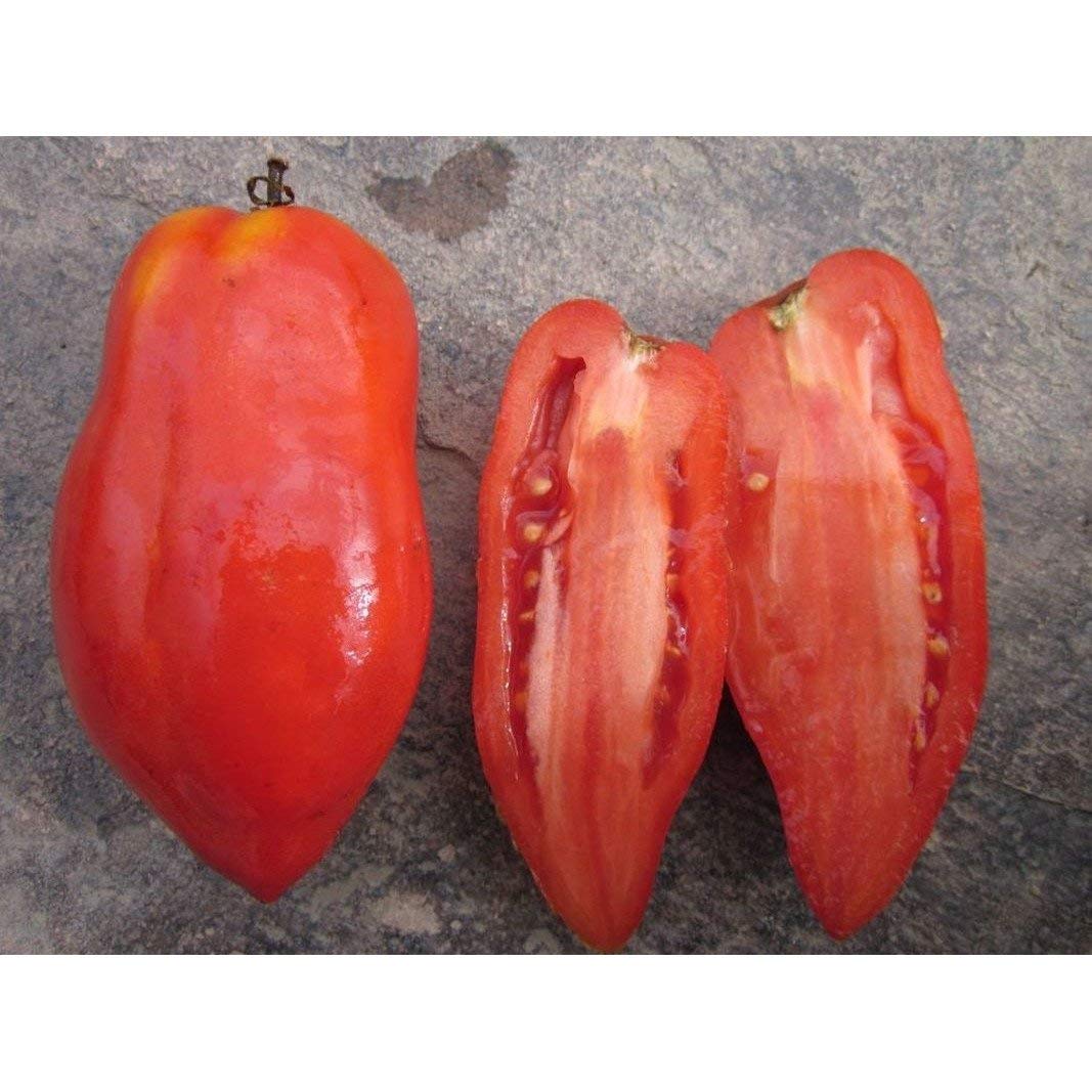 Amazon.com : Polish Linguisa Tomato Seeds - Very Sweet with Few Seeds ...