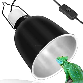 NEPTONION Reptile Reflector Dome Lamp Fixture, 5.5 inch Deep Polished ...