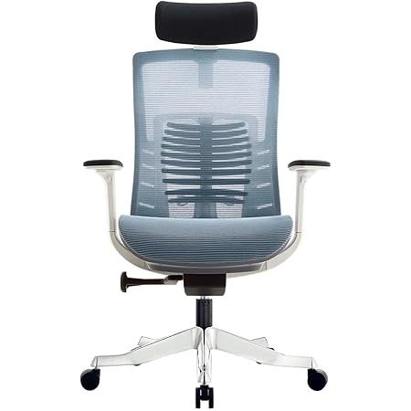 The Sleep Company SmartGRID Stylux Ergo High-Back Home & Office Chair ...