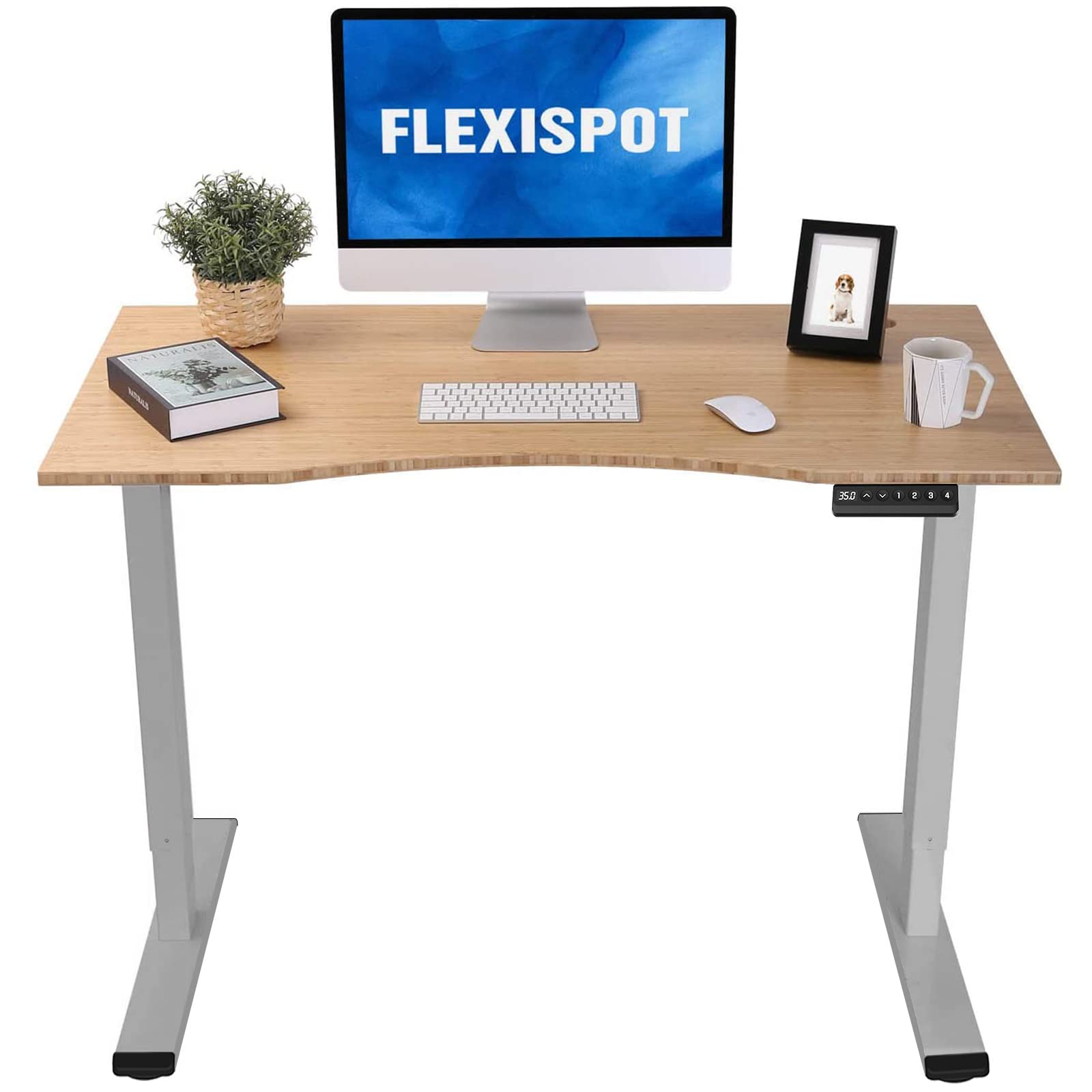 Buy FLEXISPOT EN2 Bamboo Standing Desk 48 x 24'' Whole-Piece Curved ...
