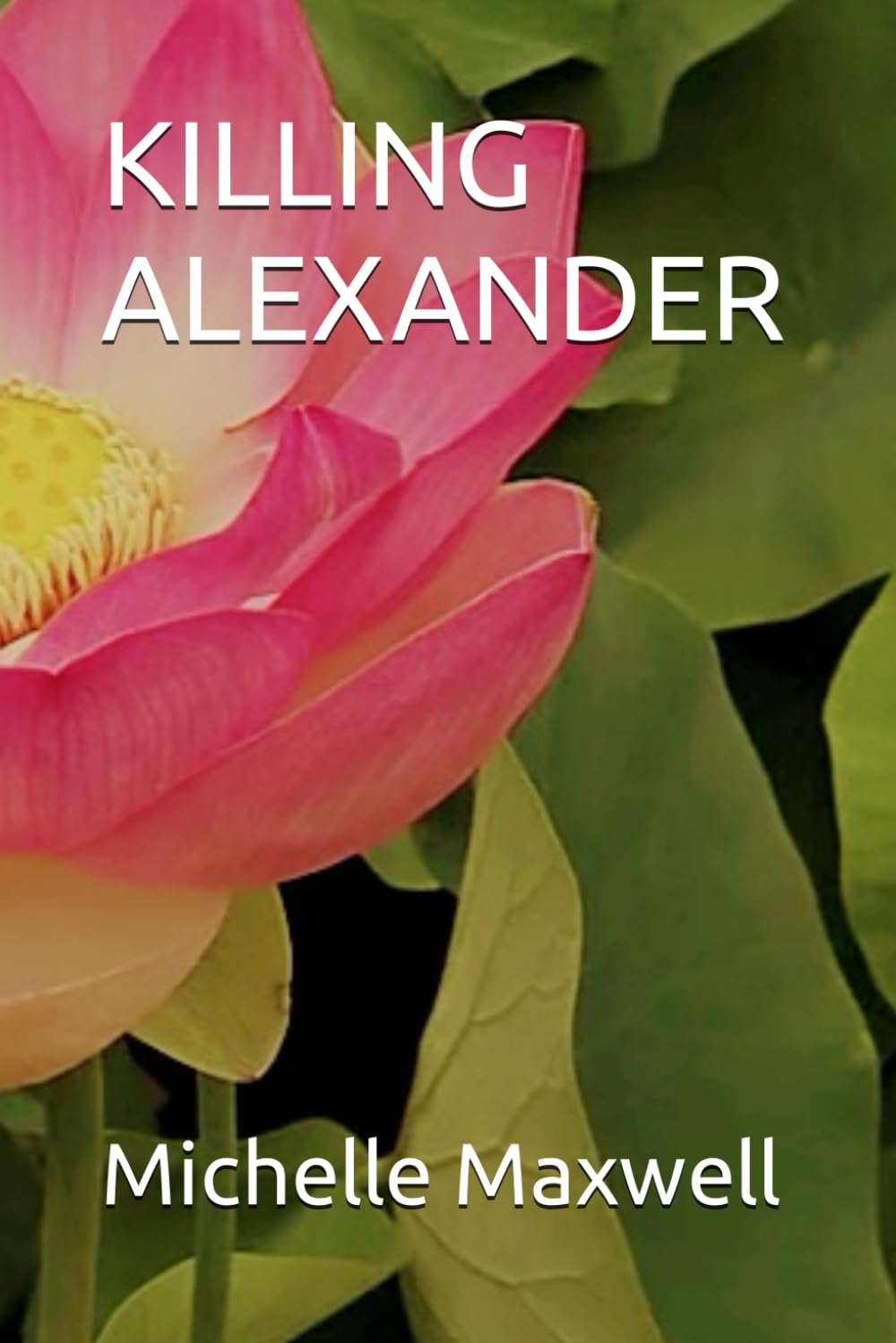 Amazon.com: KILLING ALEXANDER: 9798861544306: Maxwell, Michelle Tracy ...