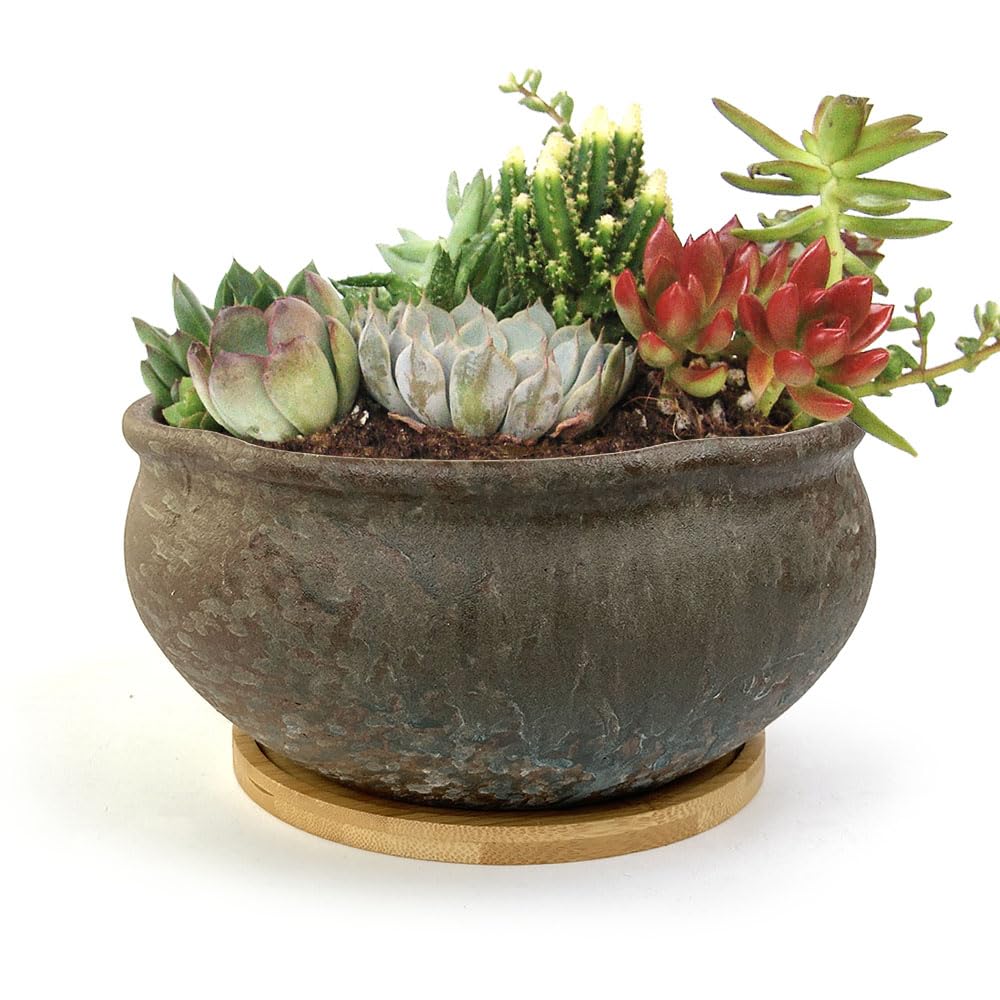 Amazon.com : Summer Impressions 8 Inch Glazed Terracotta Plant Pot ...