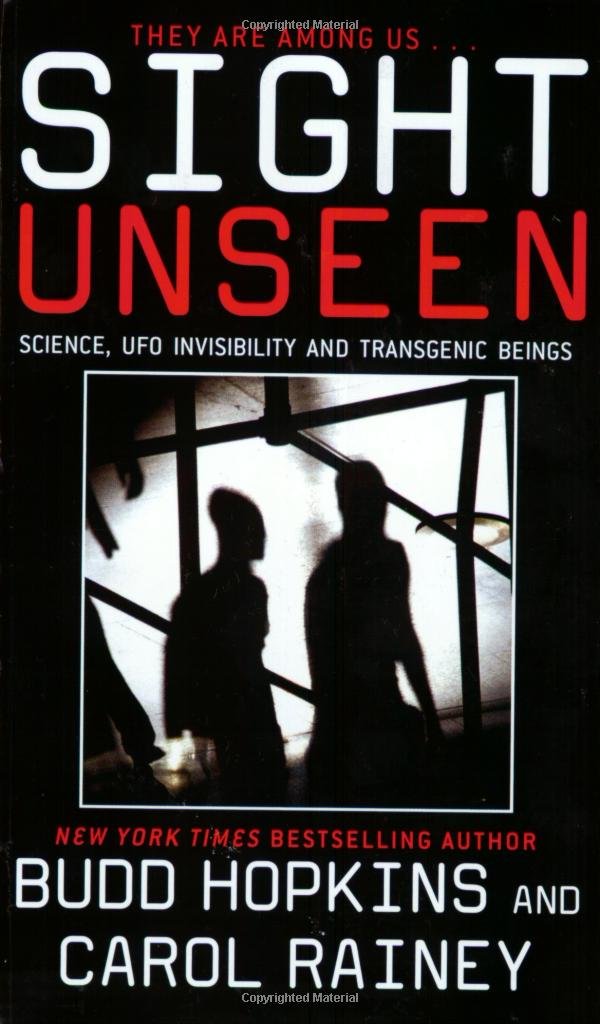 Sight Unseen: Amazon.co.uk: Hopkins Budd, Rainey Carol: 9780743412193 ...