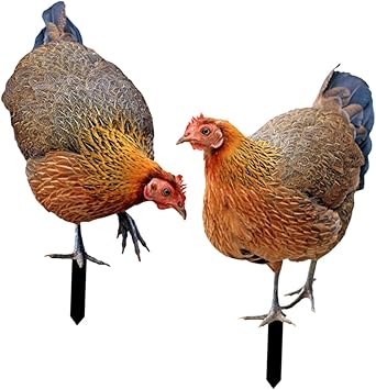 Amazon.com: VINTORKY 2Pcs Realistic Acrylic Chicken Stakes Garden Chick ...
