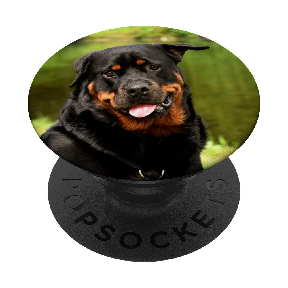 Are Rottweilers Goofy