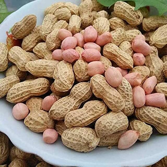 Amazon.fr : cacahuete