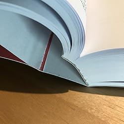 The Rust Programming Language (Covers Rust 2018): Klabnik, Steve ...