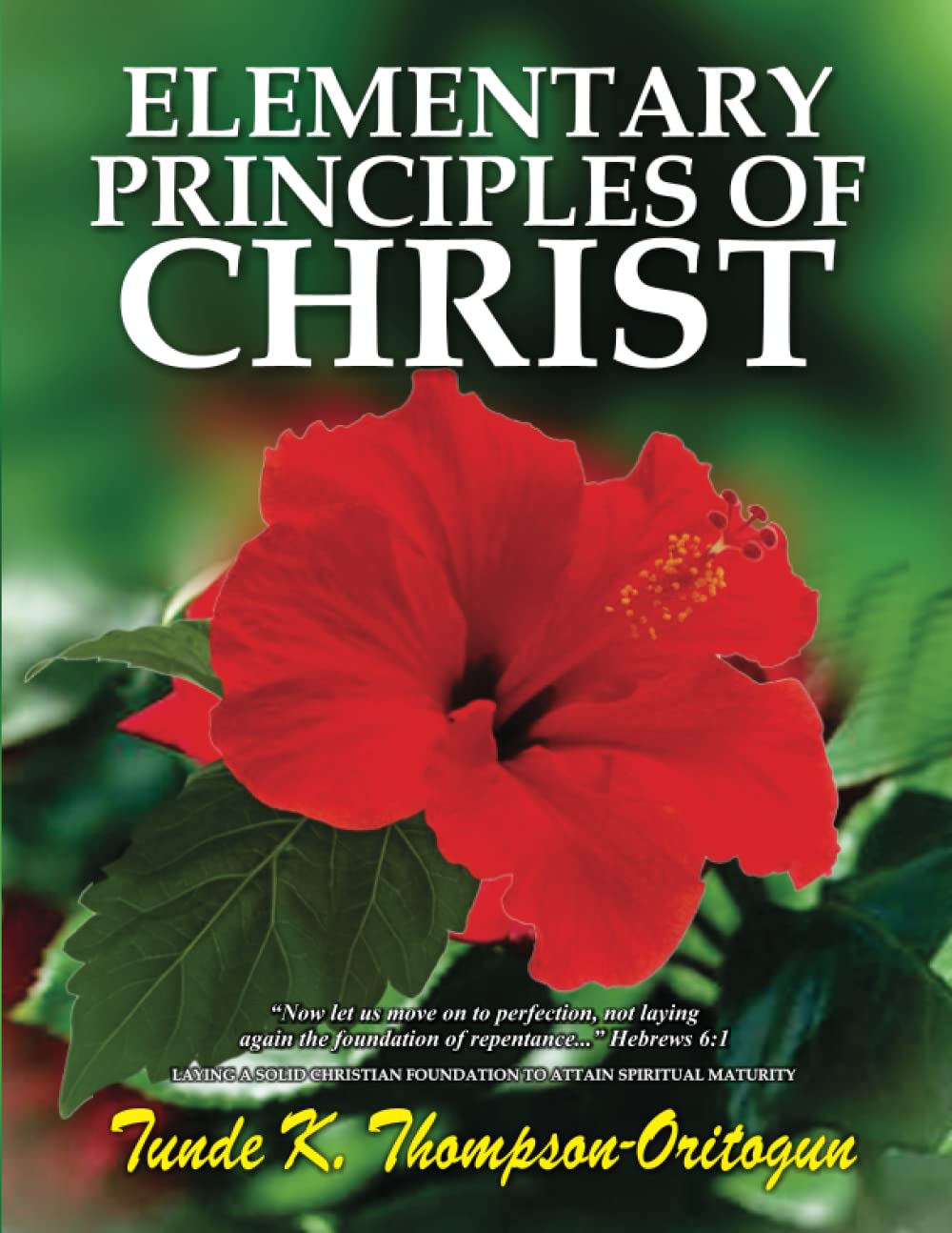 Elementary Principles of Christ: Thompson-Oritogun, Tunde ...