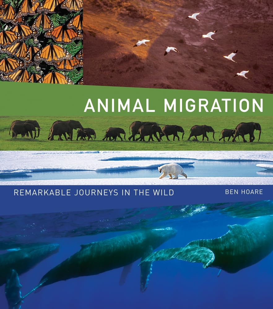 Animal Migration: Remarkable Journeys in the Wild: Hoare, Ben ...