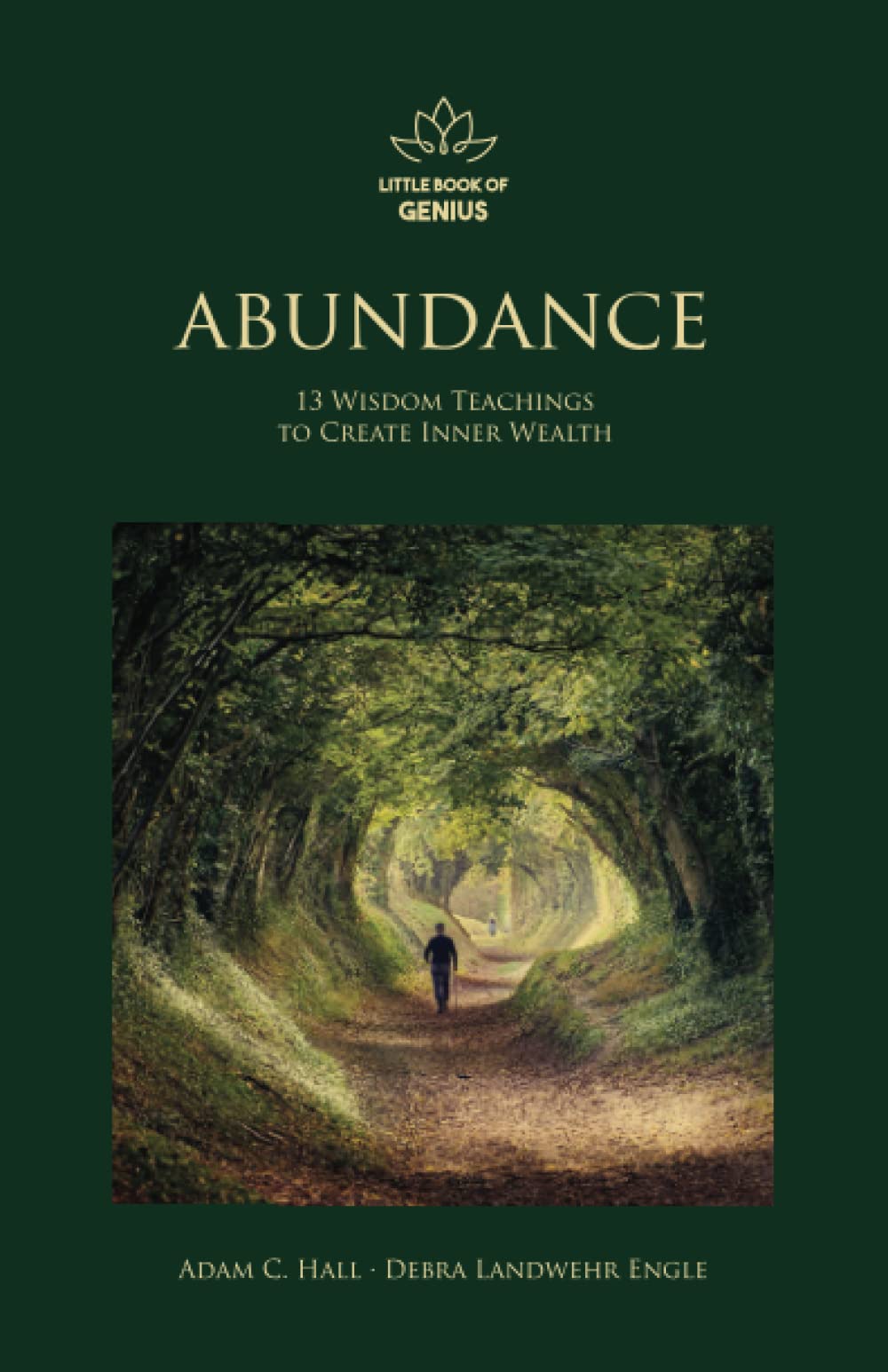 The Little Book of Genius: Abundance: Hall, Adam C.: 9781956503340 ...