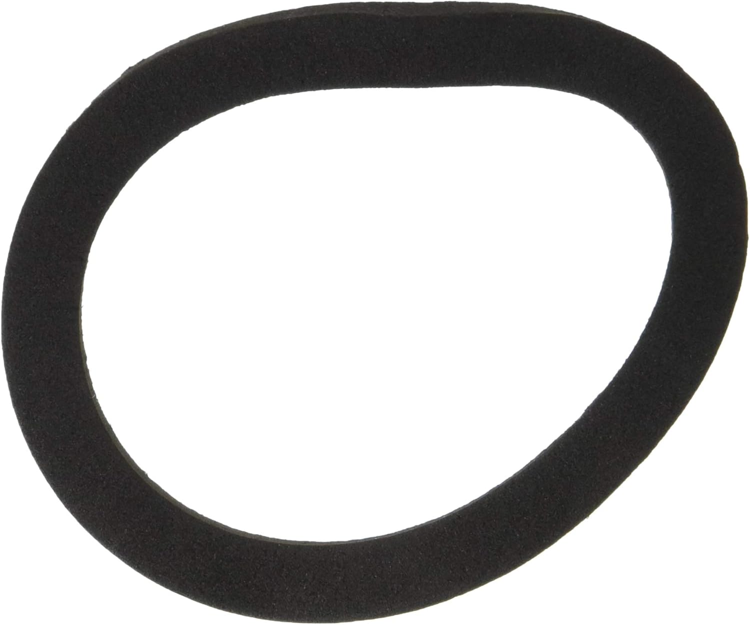 Amazon.com : Pentair 51021500 Bulkhead Gasket Replacement Eclipse Side ...