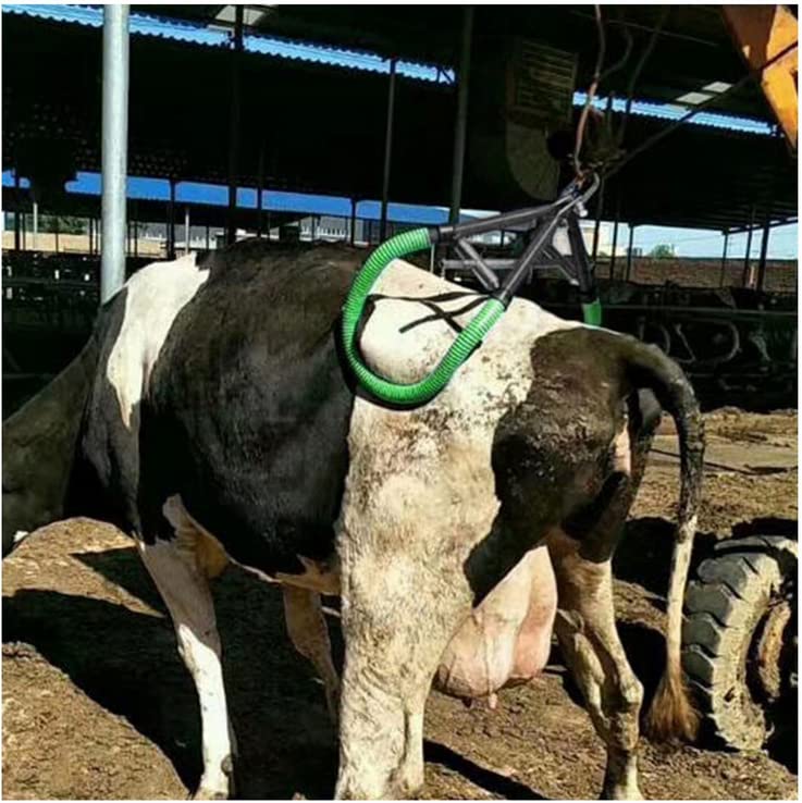 Cow Hip Lift Cow Hip clamp 2204LB Capacity OB Calving Milking Birthing ...