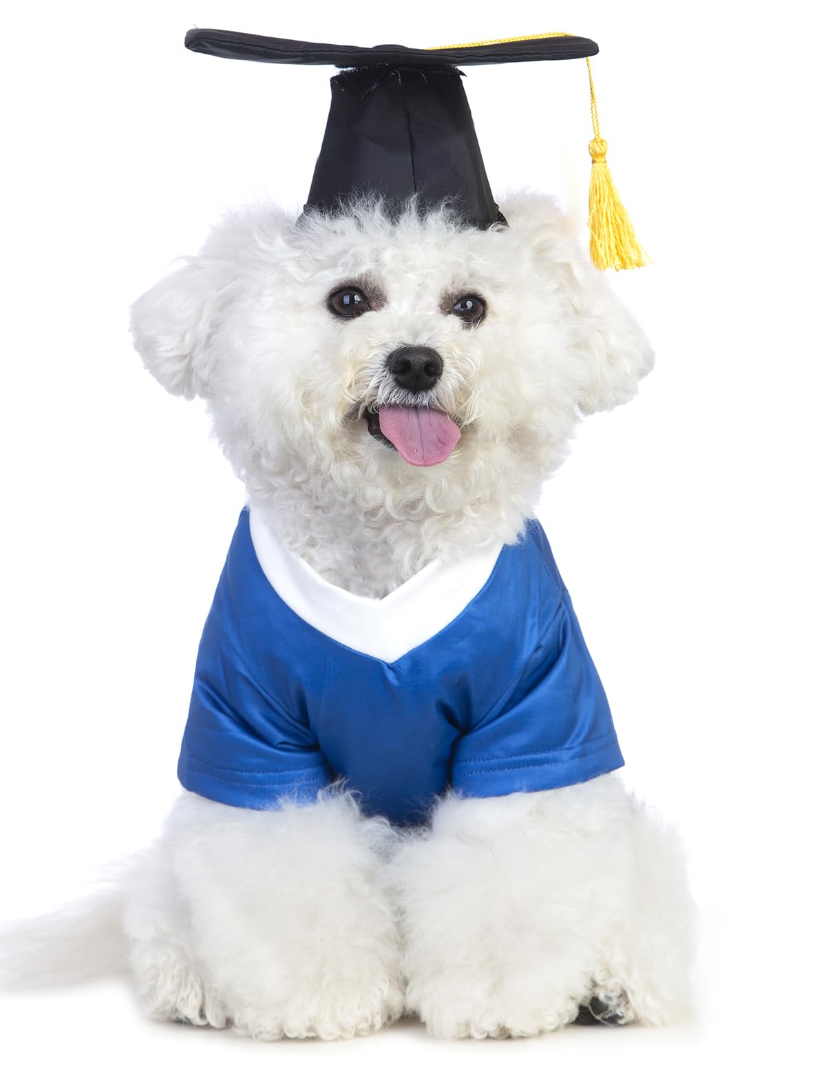 Amazon.com : Impoosy Dog Graduation Costume and Pet Graduation Hats ...