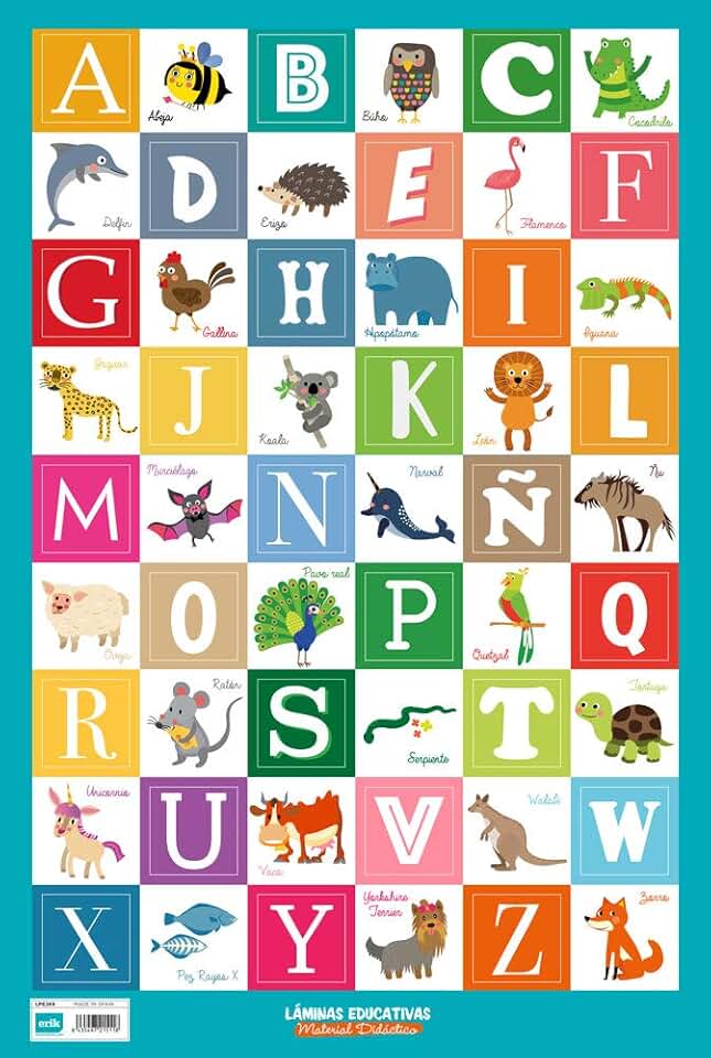Amazon.es: Poster abecedario
