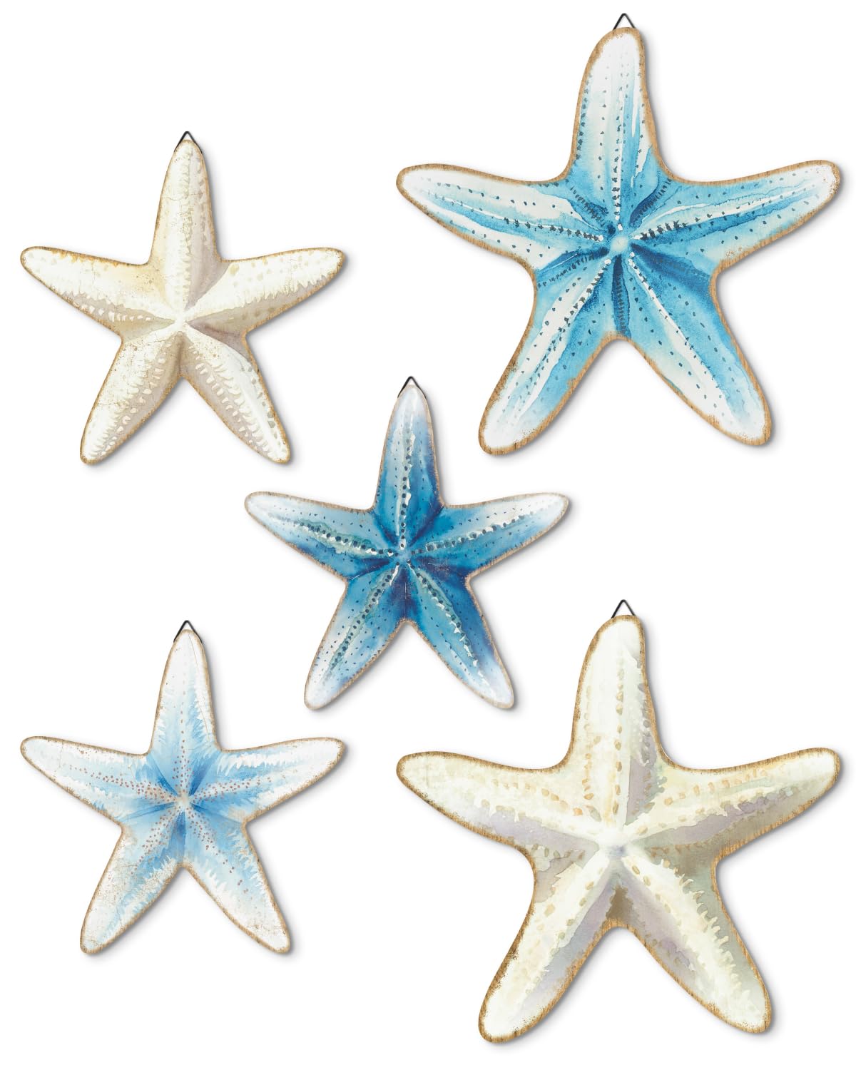 Amazon.com: Putuo Decor Blue and White Starfish Beach Wall Décor Set 5 ...