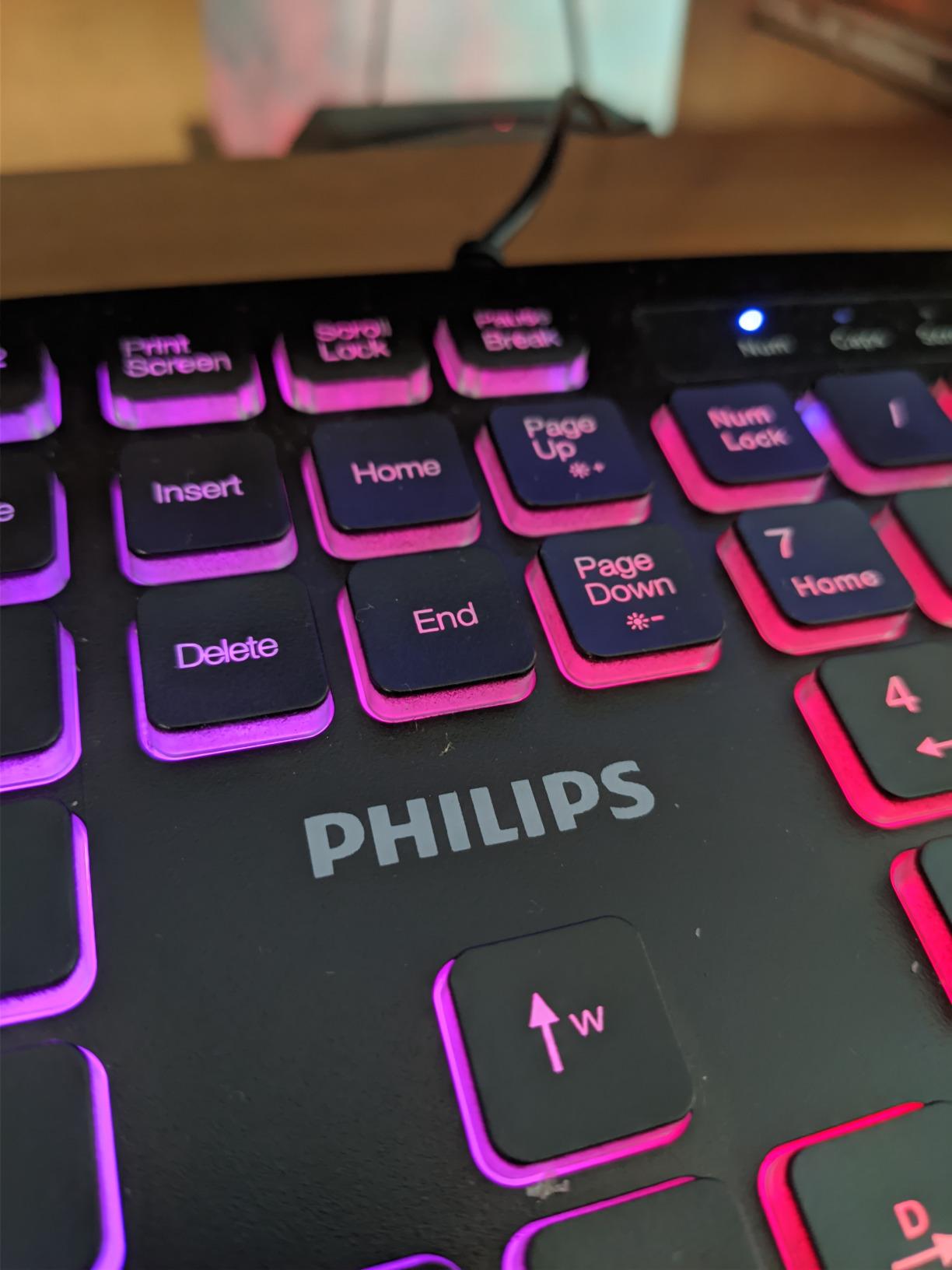 PHILIPS Compact Wired Keyboard | Ultra-Slim Low-Profile Chiclet PC ...