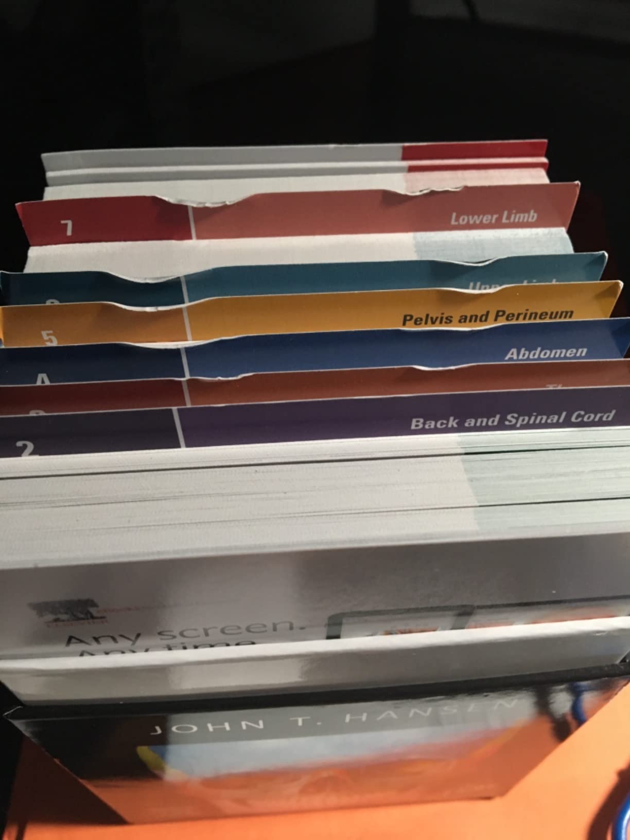 Netter's Anatomy Flash Cards: Hansen PhD, John T.: 9780323834179 ...