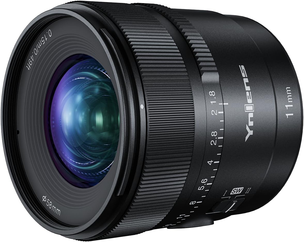 Amazon.com : Sony E 11mm F1.8 APS-C Ultra-Wide-Angle Prime for APS-C ...