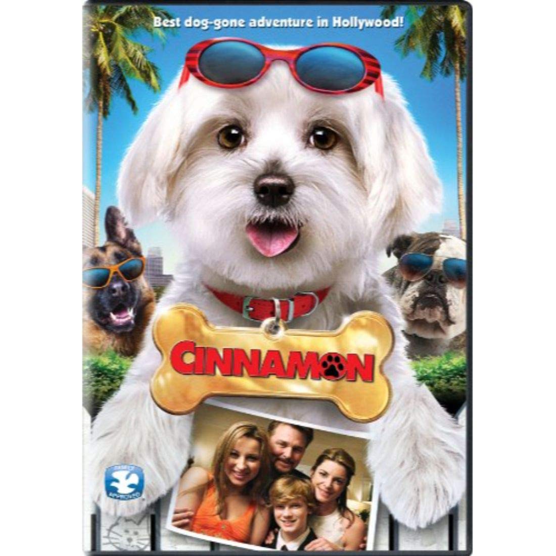Amazon.com: Cinnamon : Cynthia Gibb, Greg Evigan, Lesley-Anne Down ...