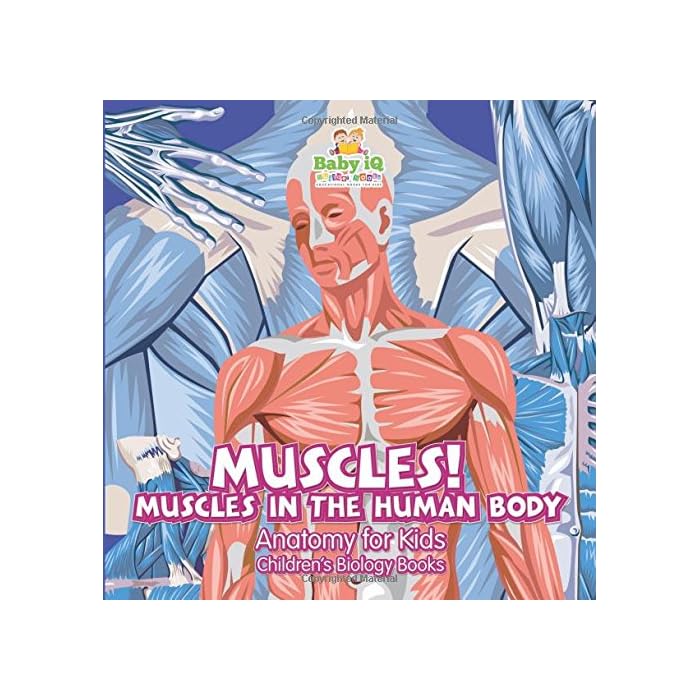 Buy Muscles! Muscles in the Human Body -Anatomy for Kids - Children's ...