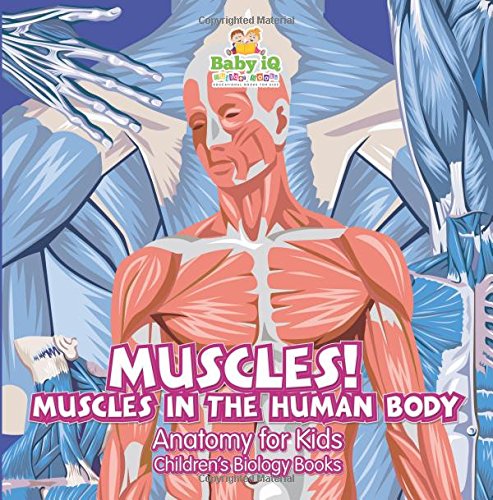 Buy Muscles! Muscles in the Human Body -Anatomy for Kids - Children's ...