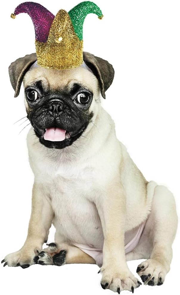 Amazon.com: Jester Hat Pet Headwear - Medium-Large (1 Count ...