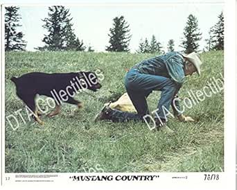 MOVIE PHOTO: MUSTANG COUNTRY-#12-1976-8X10 PROMO STILL-JOEL MCCREA ...
