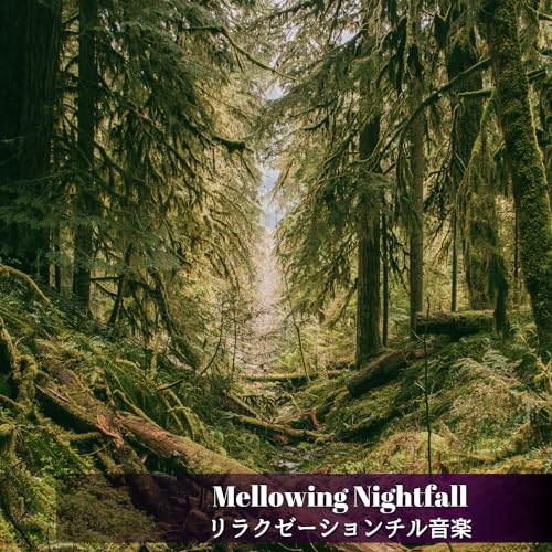Amazon MusicでMellowing Nightfallのリラクゼーションチル音楽を再生する