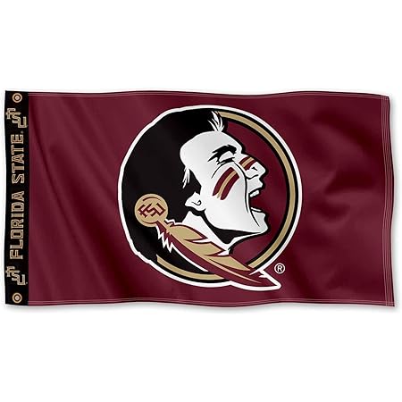 Amazon.com : Florida State FSU Noles Printed Header 3x5 Foot Banner ...