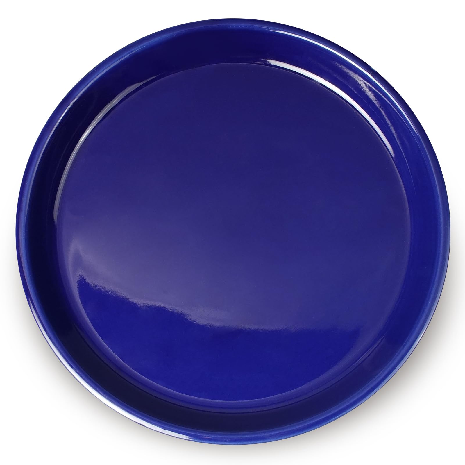 Amazon.com : EPFamily Plant Pot Saucer 12 inch - Ceramic Plant Saucers ...