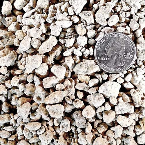 Amazon.com : Pumice - Medium Grain - 4 Quart (PM140-4) : Patio, Lawn ...