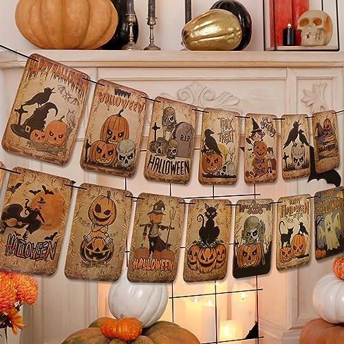Amazon.com: Vintage Halloween Party Decorations Johanna Parker Decor ...