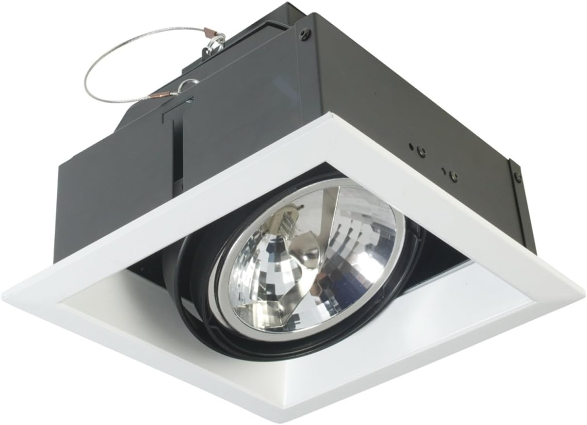 Eurofase TE101TR-01 1-Light AR111 Recessed Mutiple Trim with 0084B1 ...
