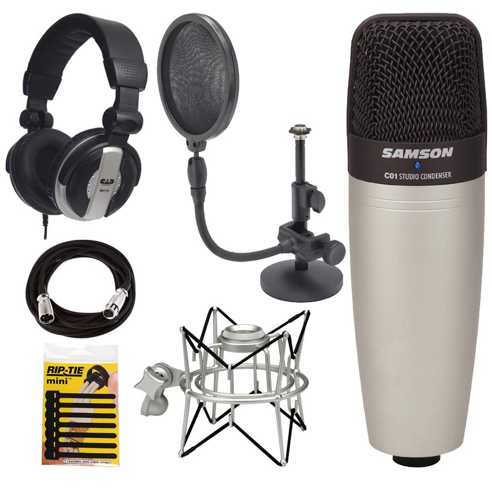 Buy Samson Studio Condenser Mic C01 + Samson Microphone Stand + Samson ...