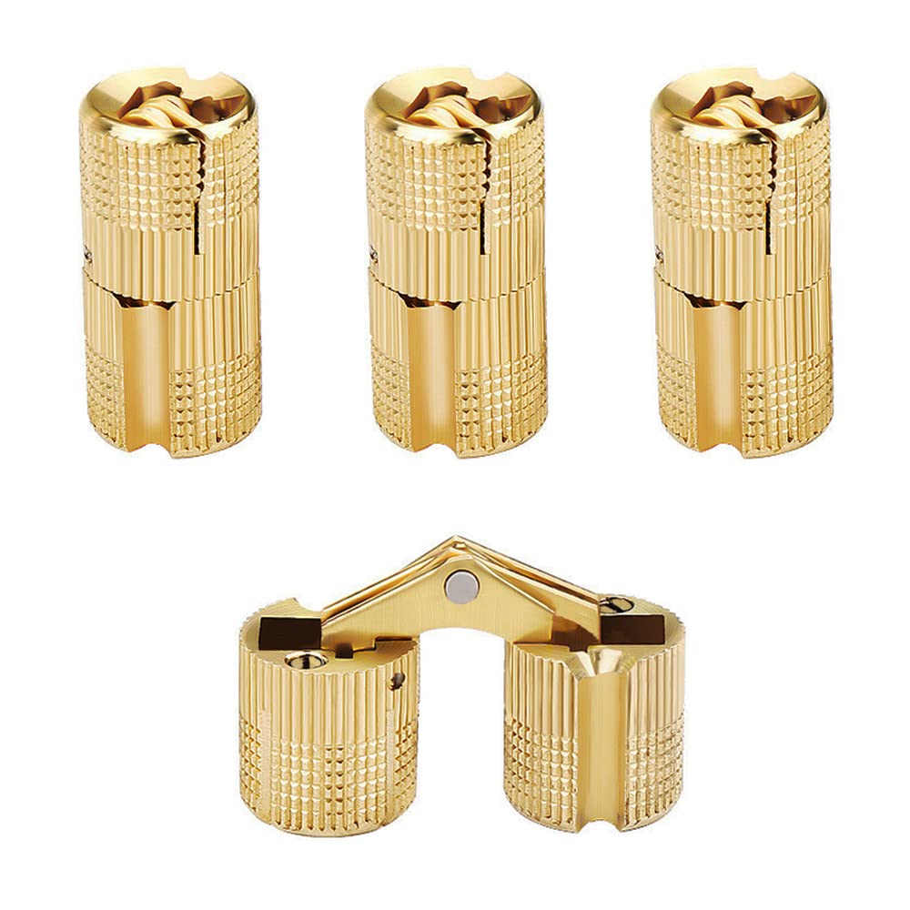 Snapklik.com : 12mm Brass Barrel Hinges Cylindrical Hidden Cabinet ...