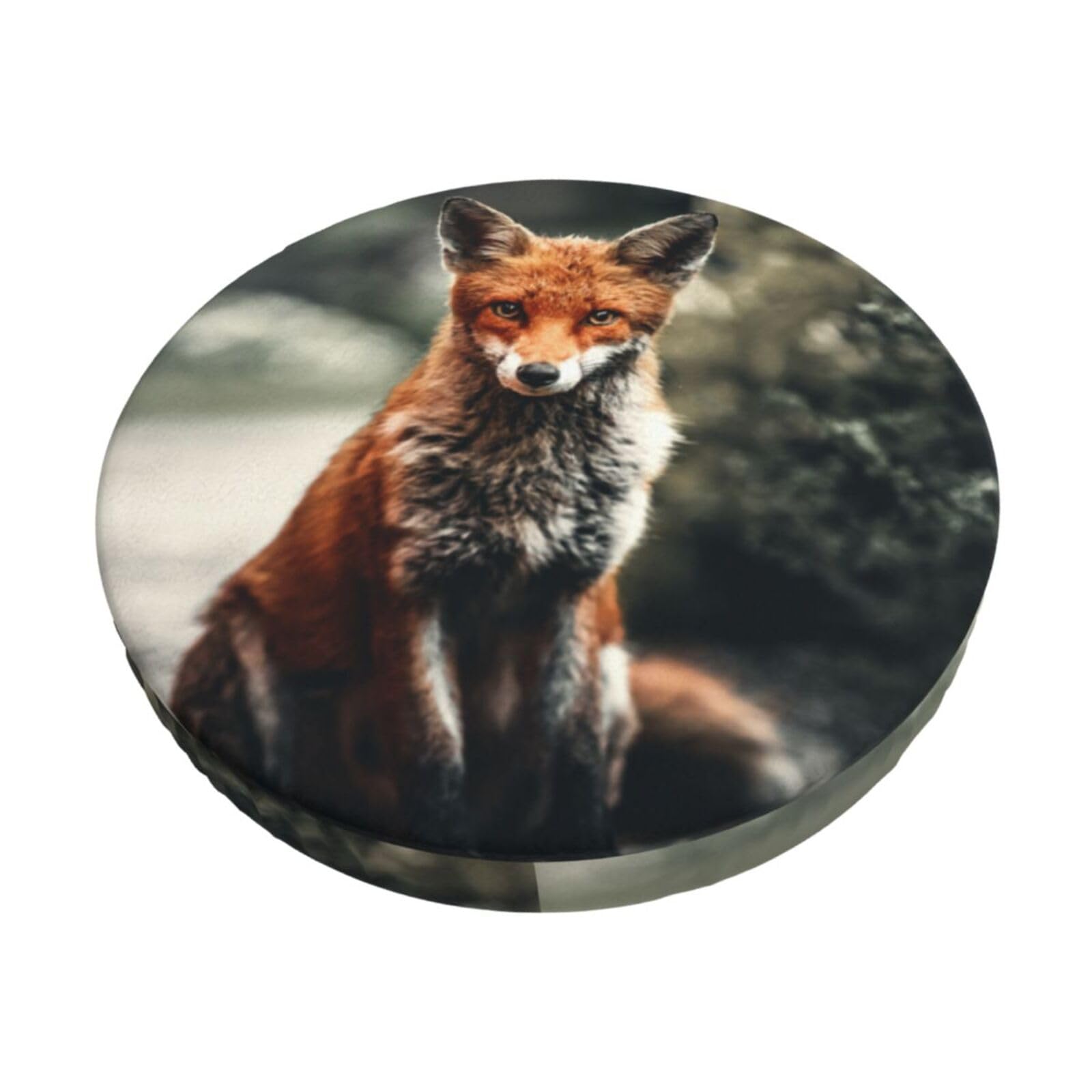 Fox Sitting On Chair