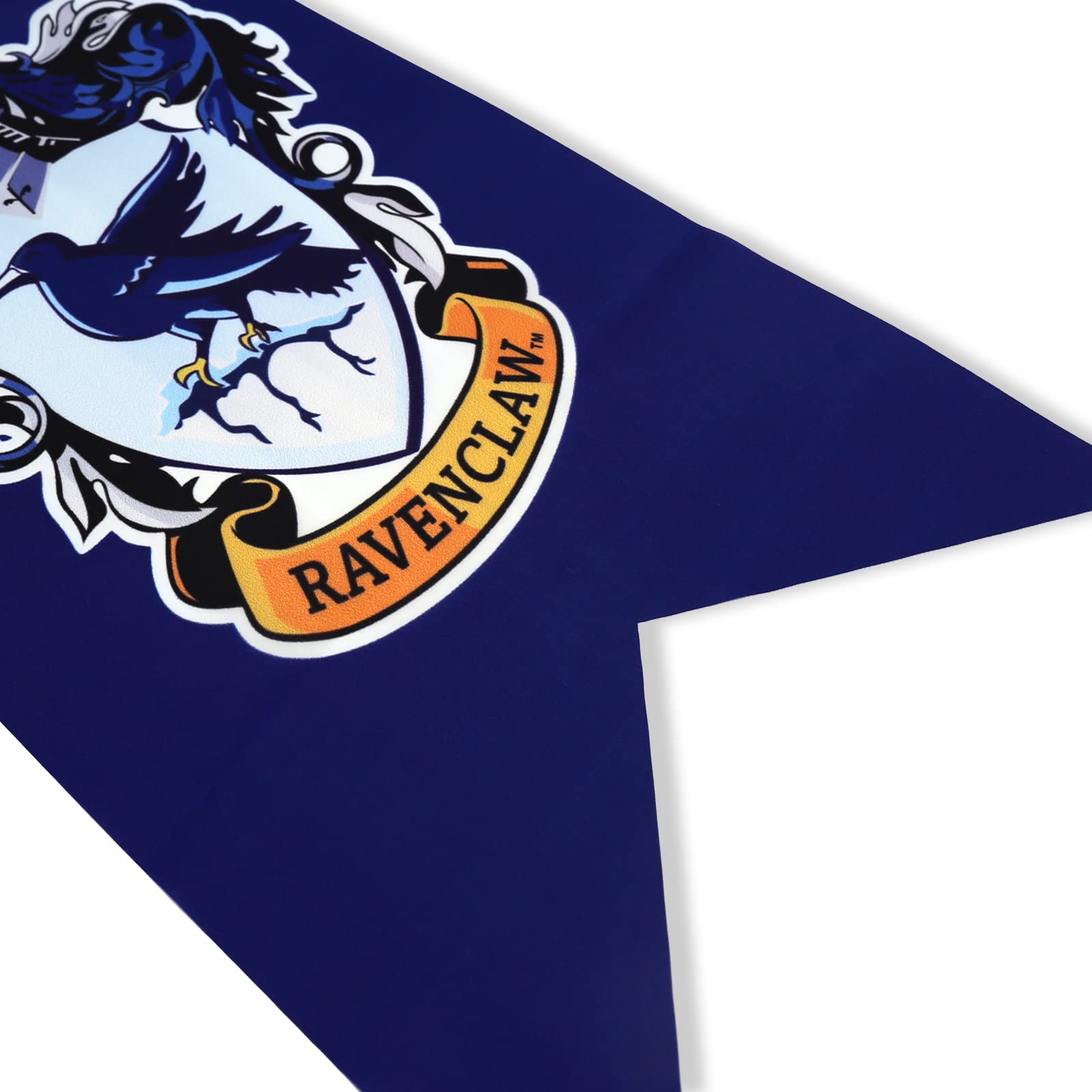 Harry Potter Hogwarts House Banner - 38" x 25" Boys Girls Birthday ...