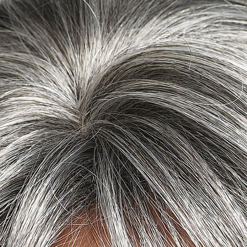 Amazon.com : Emily Wig Color 3T44 - Foxy Silver Wigs Short Culry Shag ...