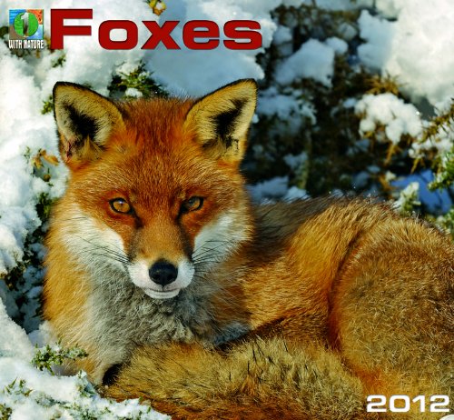 2012 Foxes Wall calendar: Zebra Publishing Corp.: 9781554564798: Amazon ...