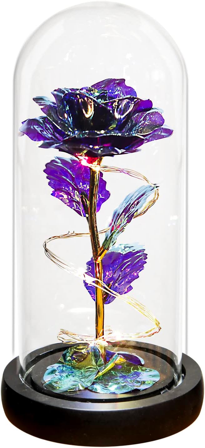 Amazon.com: Glass Rose Galaxy Enchanted Light Up Flower Gift in Dome ...
