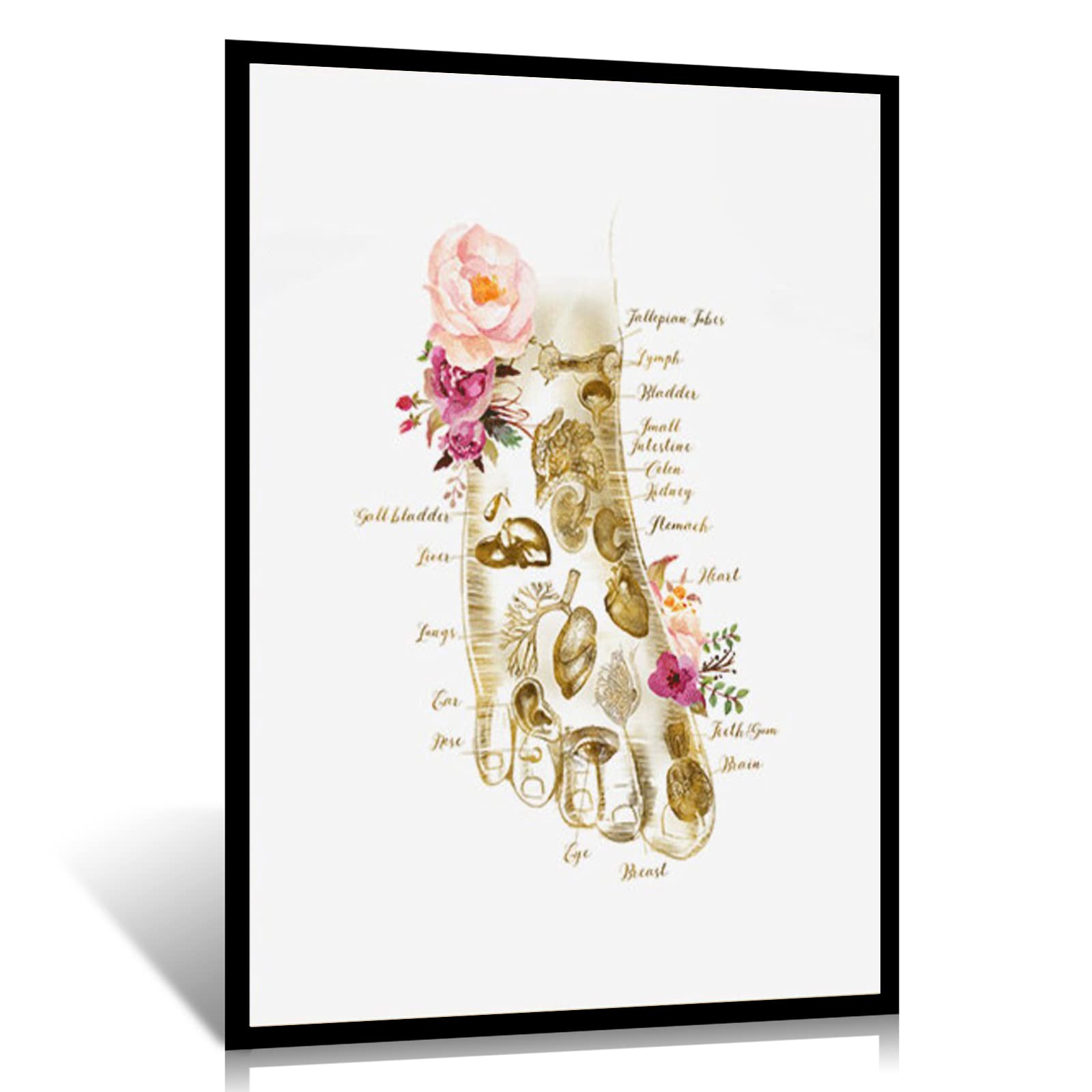 Medical Posters Foot Reflexology Chart Foot Art Podiatrist Office Decor ...
