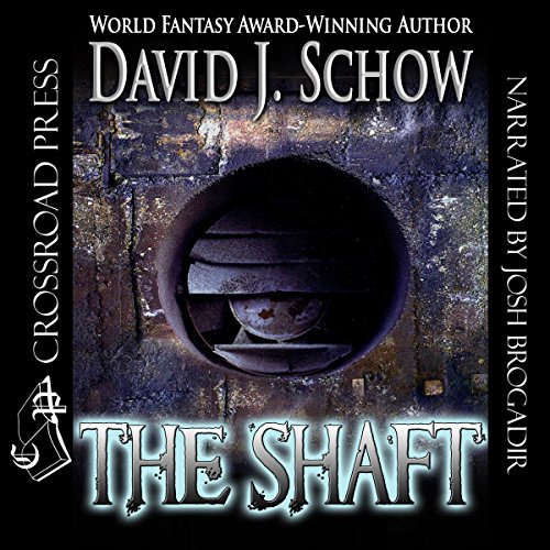 Amazon.com: The Shaft (Audible Audio Edition): David J. Schow, Josh ...