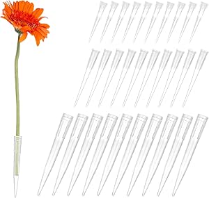 Amazon.com: Psyqtsuary 30 PCS Flower Tubes Plastic Floral Vials Pointed ...