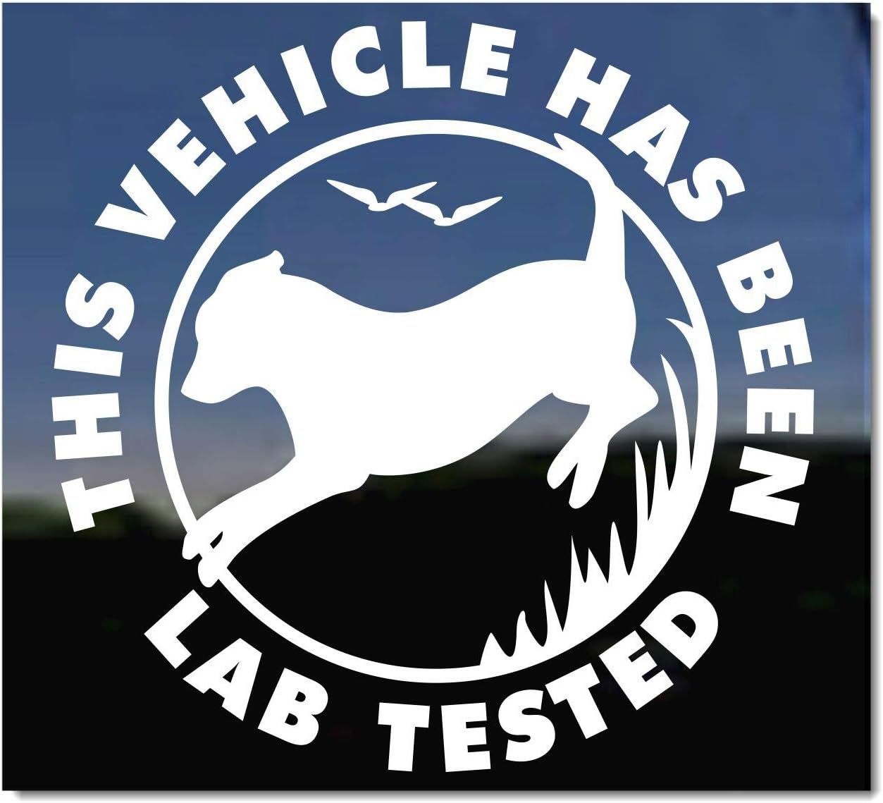 Amazon.com: This Vehicle Has Been Lab Tested | Labrador Retriever Vinyl ...