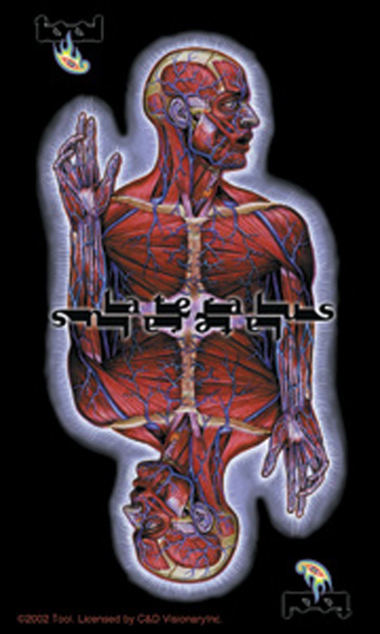 Licenses Products Tool Skinless Man Sticker : Amazon.in: Car & Motorbike