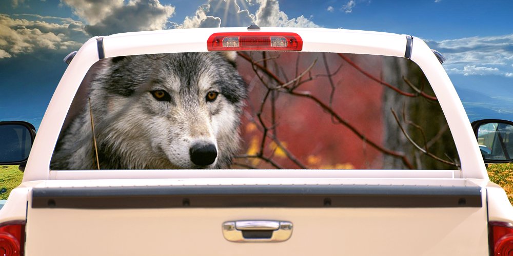 Wolf Back View